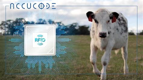 Rfid Usda Traceability Accucode