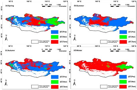 Spatial Distributions Of The Positive Correlations Of The Main