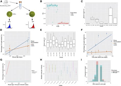 Clonal Status And Microsatellite Mutation Rates Inferred Using Download Scientific Diagram