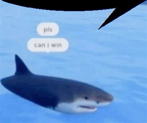 Discover 63 Shark Memes Ideas Shark Shark Pictures Cute Shark And More