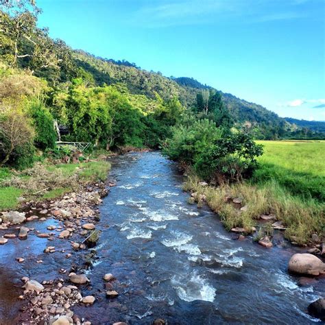 เห็ดป่า บูรณาการความรู้ เสาวรสปลูกเพื่อทานยอดอ่อนได้นะครับ ยอดอ่อนของ