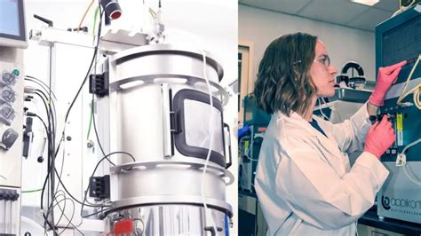 Bioprocess Engineering Definition Types Uses Biology Notes Online