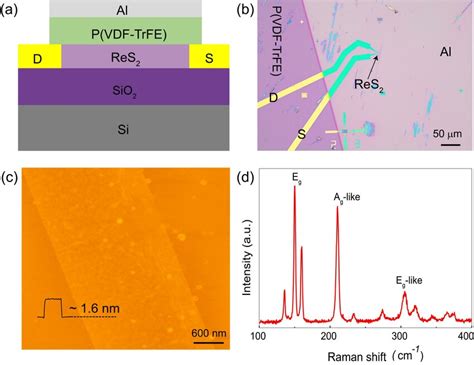 Figure S3 Ferroelectric Gated Bilayer Res2 Fet With Sio2si As The