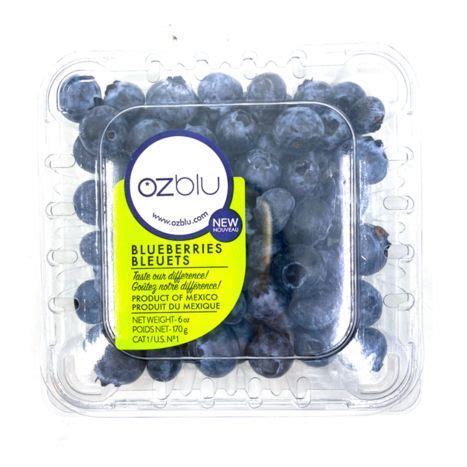 Buy Ozblu Bleuets Blueberries 170 Grams Online Mercato