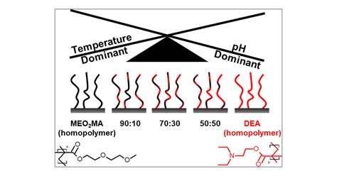 Interplay Of Composition Ph And Temperature On The Conformation Of