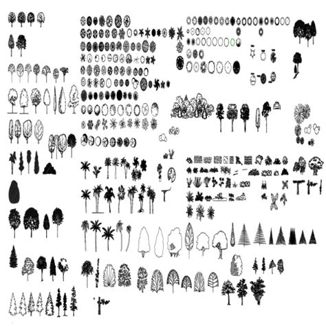 Trees And Plant Cad Blocks
