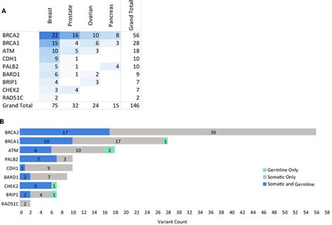 Landscape Of Alterations Detected In Genes Associated With Homologous Download Scientific
