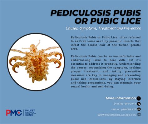 Understanding Oral Sex Exploring Pleasure And Risks Phuket Medical