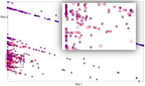 Derivative Visualization To Show The Derivatives We Use A Linear