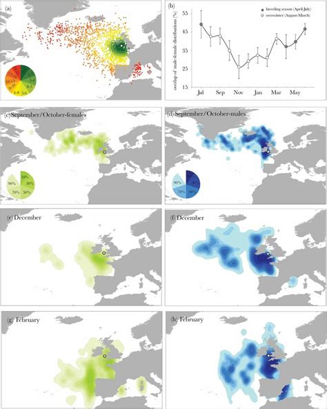 Sex Differences During Migration At The Start Middle And End Of The
