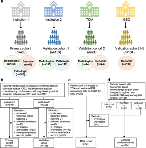 Multimodal Data Integration For Biologically Relevant Artificial Intelligence To Guide Adjuvant
