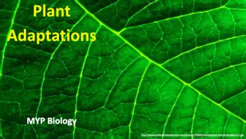 MYP Biology Plant Adaptations By MrKremerScience TPT