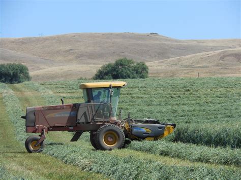 How To Make Silage 12 Steps With Pictures Wikihow