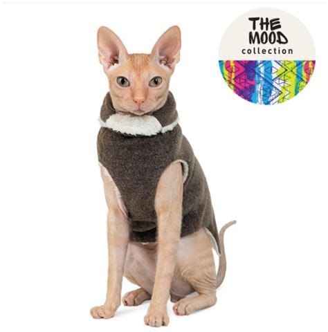 Одежда и обувь для котов и кошек Бізнес новини Чернігова