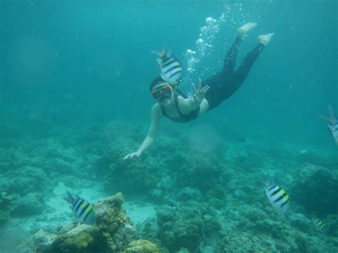세부 호핑따요 세부 막탄 호핑투어 내돈내산 추천 후기 네이버 블로그