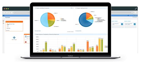 Project Management Software Project Insight