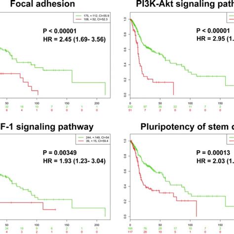 Prognostic Significance Of The 4 Core Functional Pathways Focal