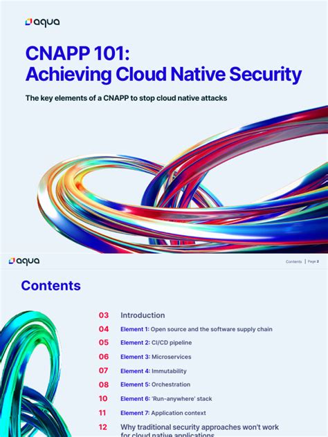 Aquasecuritycloud Native Application Protection Platform Cnapp