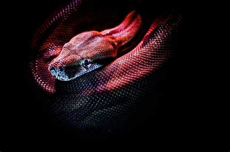 Pandas Datetime Resample Part 16d Of Simple Python By Dr Alvin