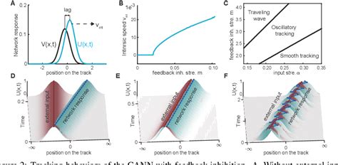 Figure 1 From Oscillatory Tracking Of Continuous Attractor Neural Networks Account For Phase