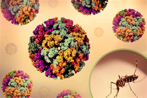 16 Times Nature Created Perfectly Symmetrical Objects