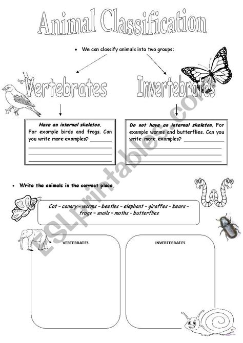 Animal Classification Esl Worksheet By Englishagus