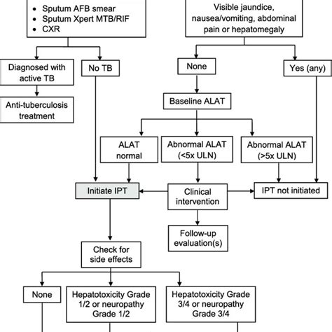 Pdf Ipt During Hiv Treatment In Myanmar High Rates Of Coverage