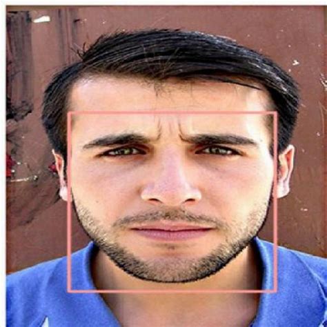 Visual Detection Reformed Object Detection Dataset By Ce