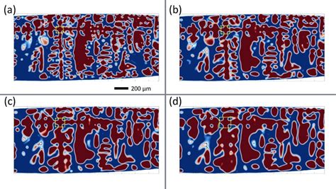 Cross Sections Of The Dendritic Microstructure At Four Different Times