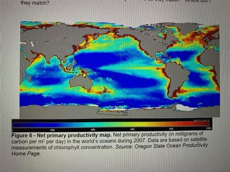 Primary Productivity Ocean