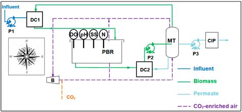 Towards Optimisation Of Microalgae Cultivation Through Monitoring And