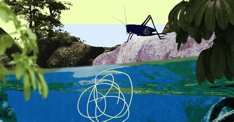 In Defense Of Parasitic Worms