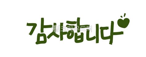 감사합니다 캘리그라피 캘리 인사말 스승의날 사진 이미지 일러스트 캘리그라피 횬와와작가