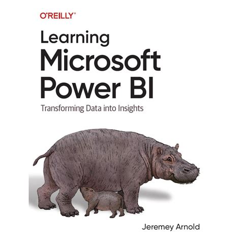 Learning Microsoft Power Bi Transforming Data Into Insights Shopee