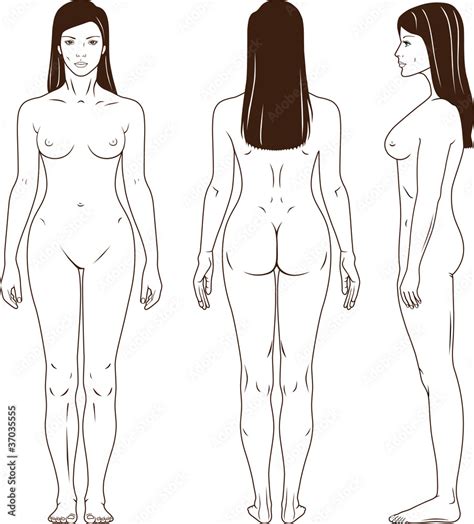 Naked Standing Woman Vector Stock Vector Adobe Stock