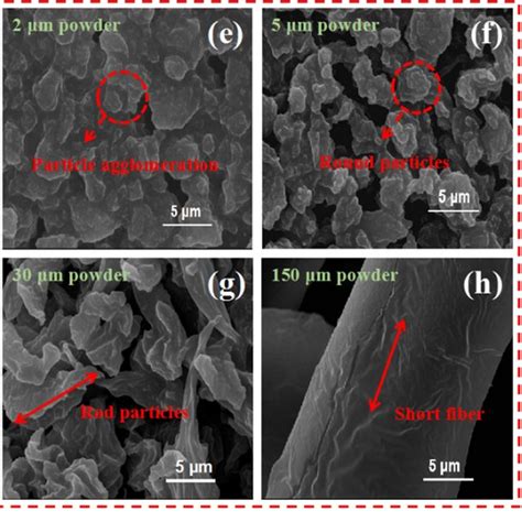 Particle Size Distribution And Morphology Of Powders With Average Download Scientific Diagram