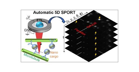 Automated Five Dimensional Single Particle Tracking By Bifocal Parallax
