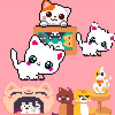 Cute Cats Contest Pixilart Cute Cats Contest Pixilart