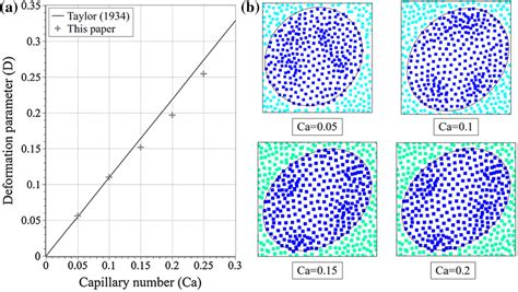Drop Deformation In Shear Flow Case A Deformation Parameter D Versus