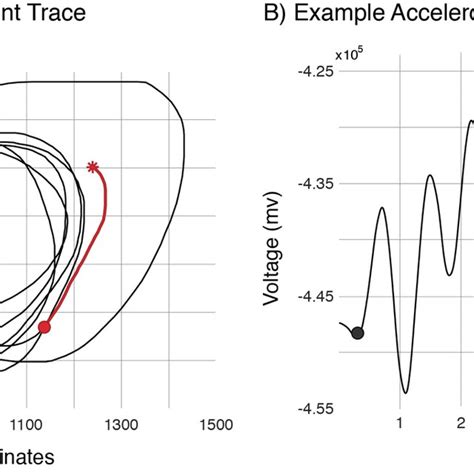 Example Matlab And Accelerometer Data From A Single Trial Red Line