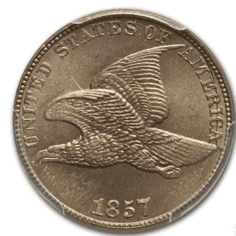 A Beginner S Guide To Error Coins APMEX