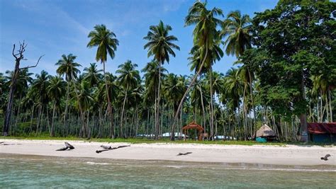The Cool Wild And Very Remote Andaman Islands