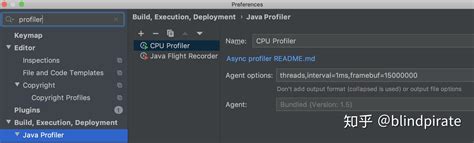 「每日一技」idea集成async Profiler 知乎