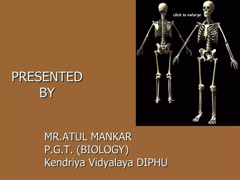 Skeletal System Ppt