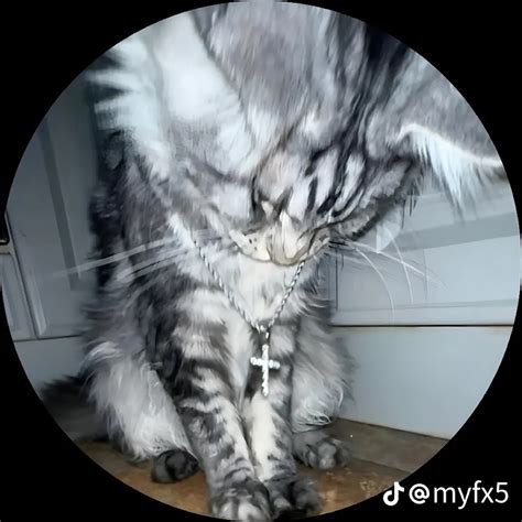 Unauthorized Youtube