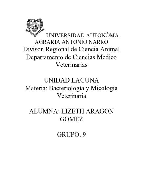 Streptococcus Liz Pdf Penicilina Reacción En Cadena De La Polimerasa