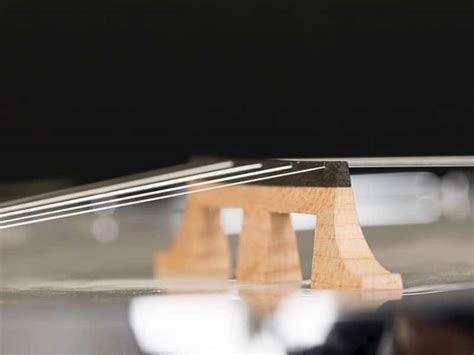 Best Banjo Strings Complete Guide To String Selection