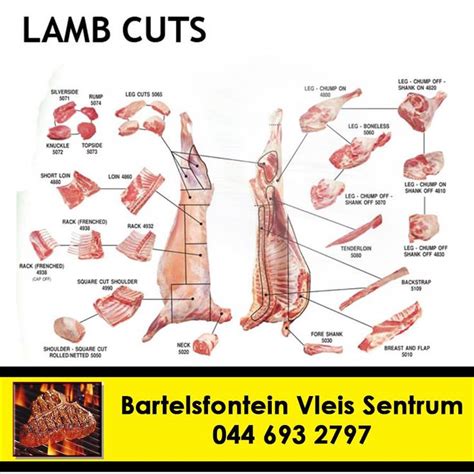 Trivia Tuesday Lamb Cuts Lamb Cuts Of Meat Sheep Meat Cuts Chart