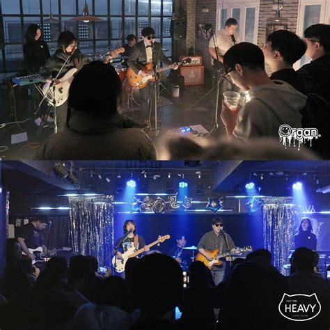 제주항공 참사 희생자들의 명복을 빌고 유가족들께 위로의 마음을 전합니다 시나몬잼 자유게시판