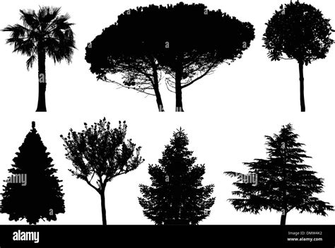 Trees Vector Set Stock Vector Image And Art Alamy Trees Vector Set Stock Vector Image And Art Alamy